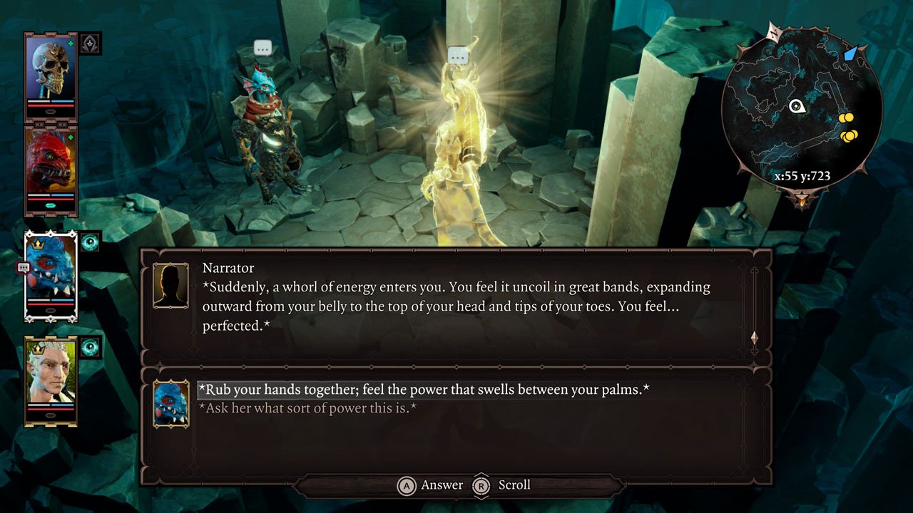 Divinity: Original Sin II - Definitive Edition - Nintendo Switch 2 ...